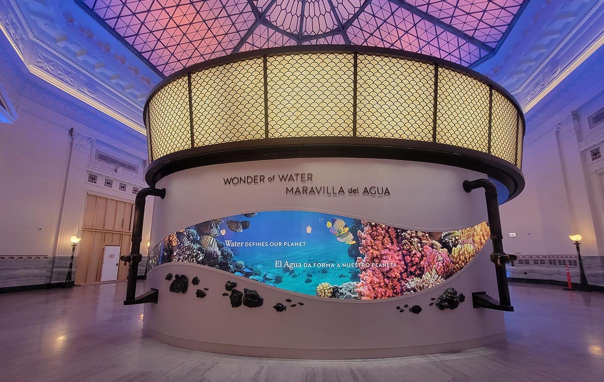 Bridgewater Studio | Museum Design | Shedd Aquarium